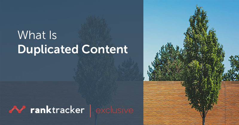 What Is Duplicated Content
